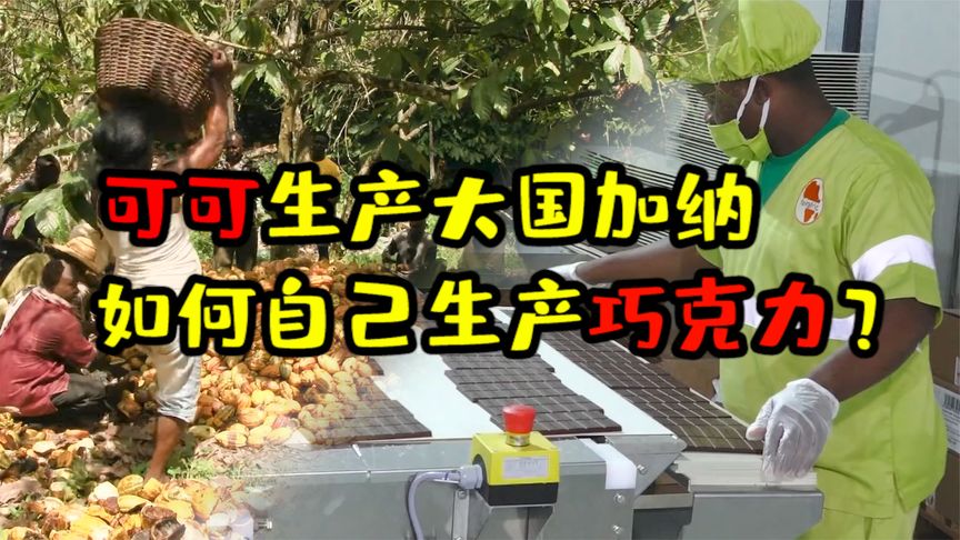 拒绝压榨自己干!可可豆出口国决定自己造巧克力,资本看完直流泪