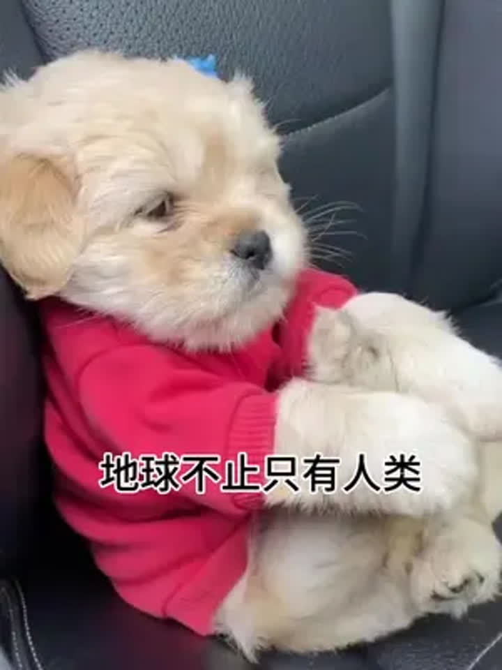 呵,人啊,什么都是对的?用搜救犬的时候不会说谢谢,个例伤人,那么所有...