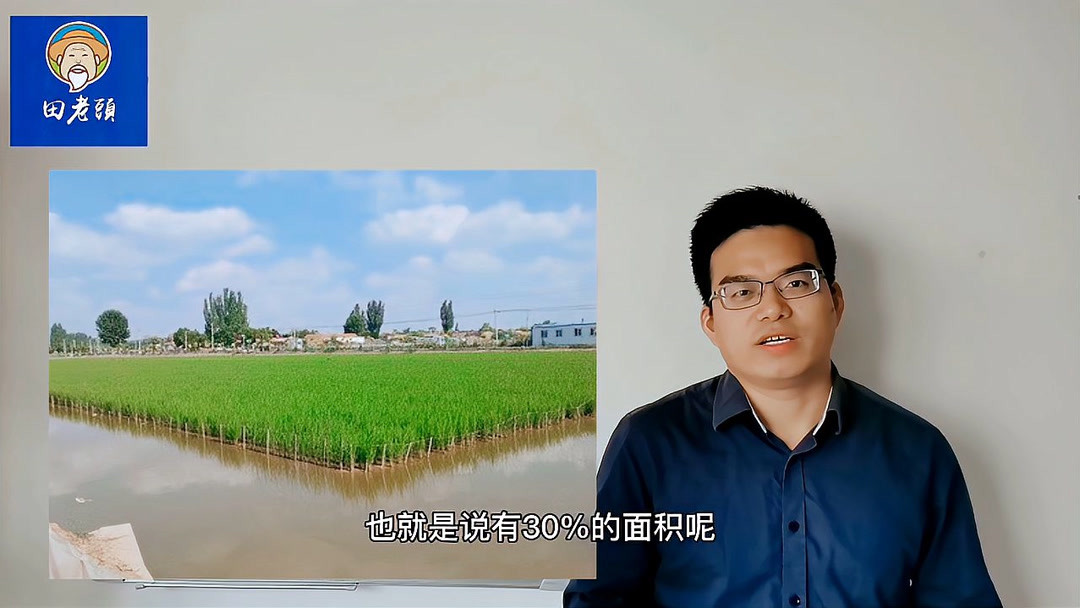 稻田养蟹增加收入,要先了解清楚市场技术。田老头螃蟹养殖