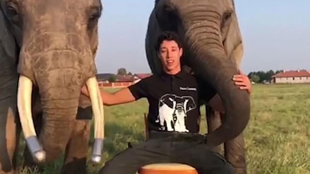 厉害!杂技团大象扣篮转呼啦圈技艺高超,只因主人对它信任