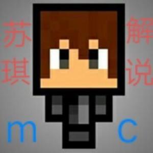 苏琪解说 