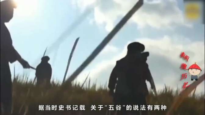 五谷指的是五种作物吗?