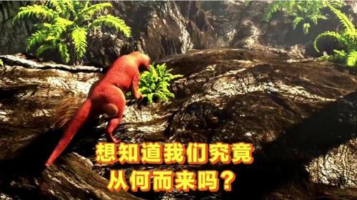 人类起源揭秘:地球生命演化,38亿年的奇妙旅程