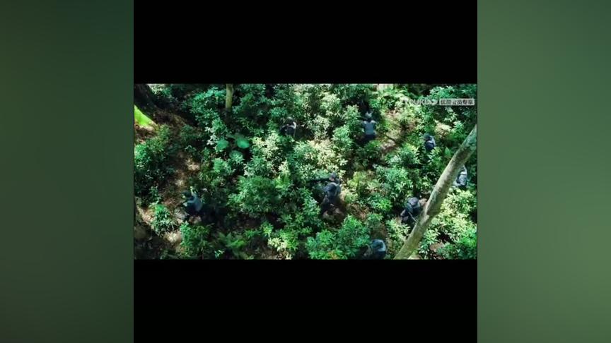 #簡箪僦好心剪辑 经典回顾精彩片段 #侏罗纪世界