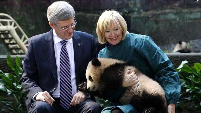 美国:求求你们了,把大熊猫领回去吧!别再送来了!