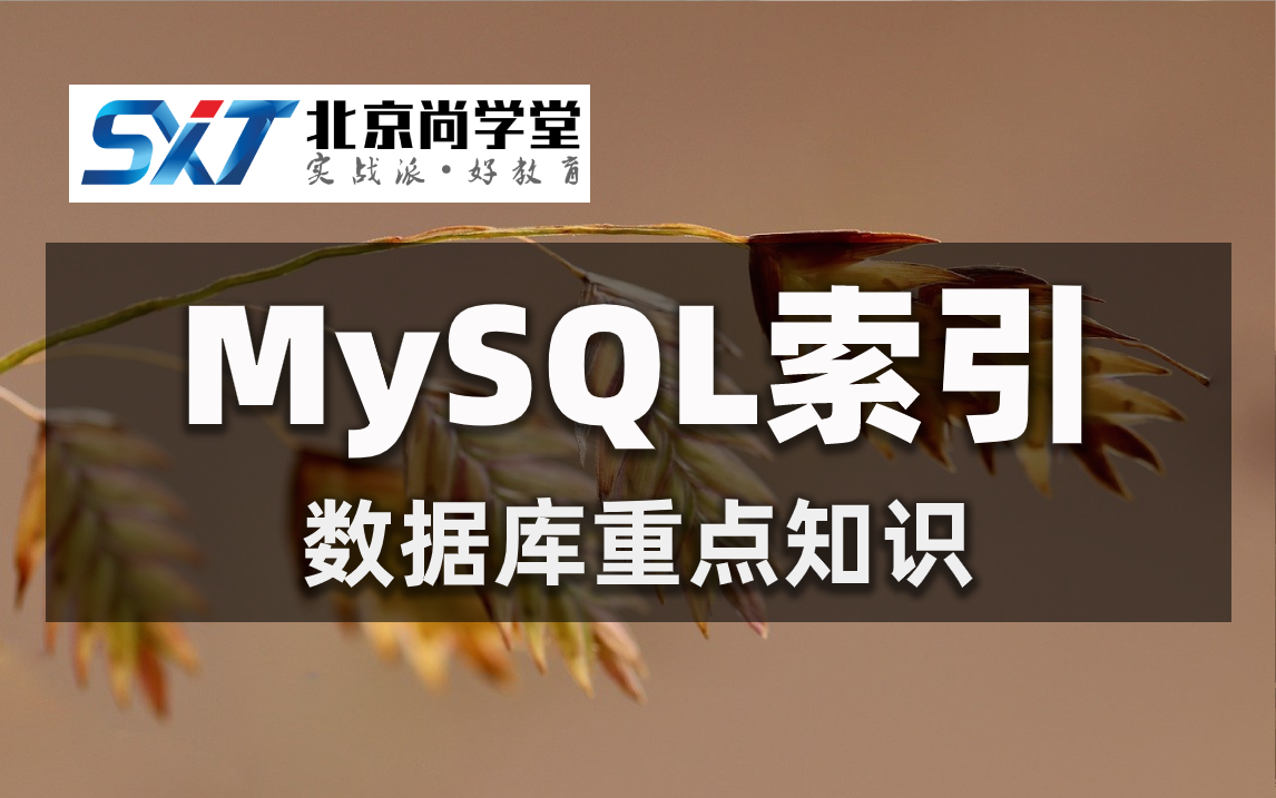 MySQL索引零基础到项目实战_Java数据库MySQL索引详细视频教程_...