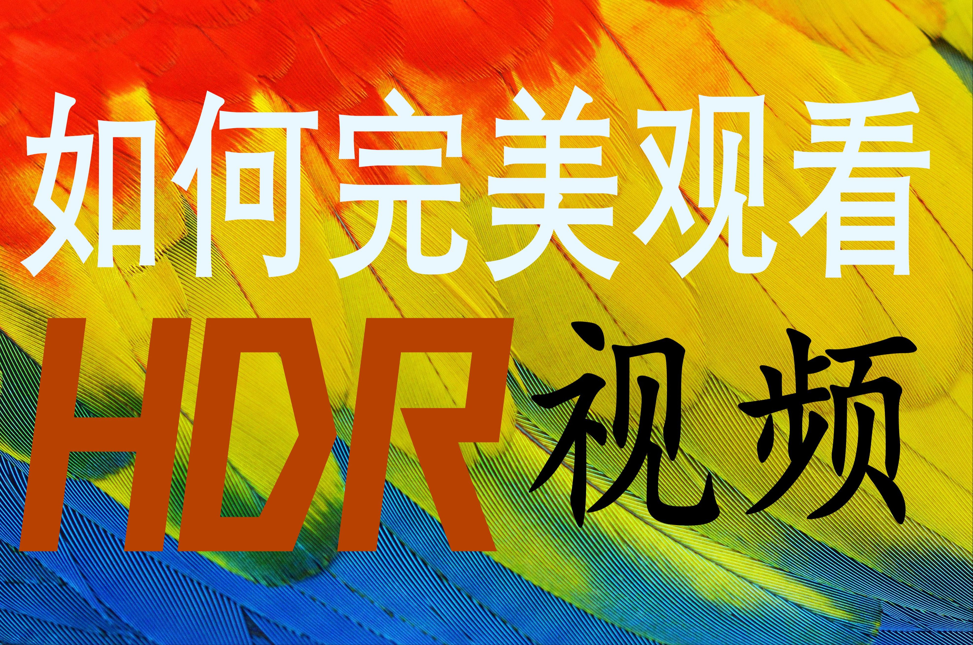 都2024了还不会在B站观看HDR视频?一个视频教会你如何不用安装...