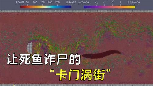 "卡门涡街"是什么?死去的虹鳟鱼还能顺流而上,这是什么原理?