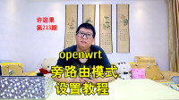 许迎果 第213期 openwrt旁路由模式设置教程