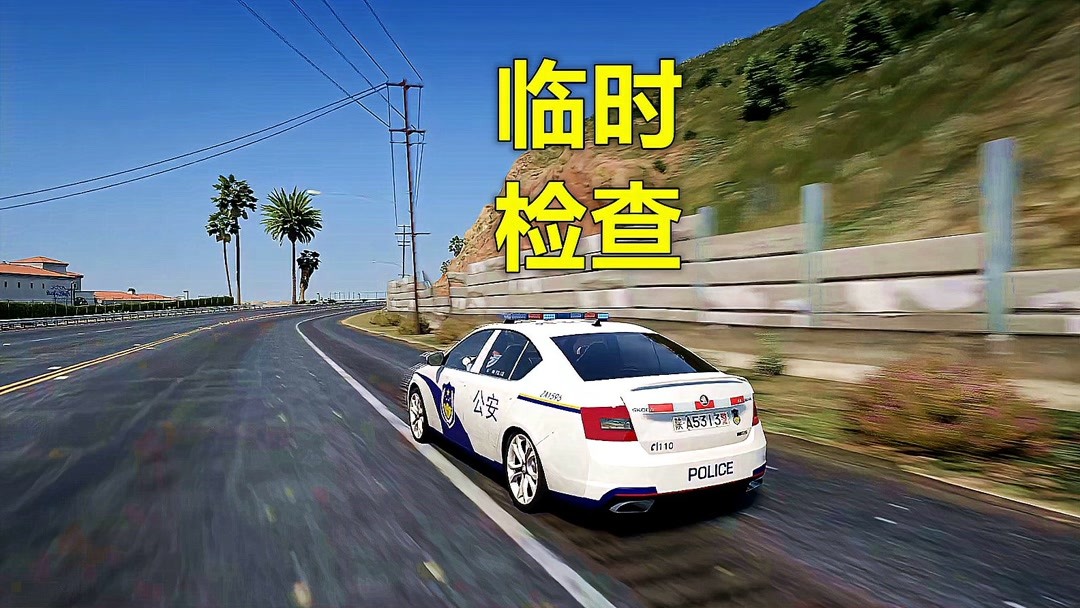 警察模拟器 高速公路 突击临时检查 司机居然不配合