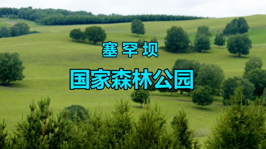塞罕坝国家森林公园