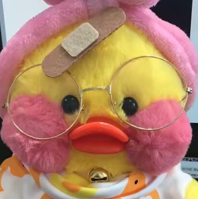 贤哥的ultra小宅 