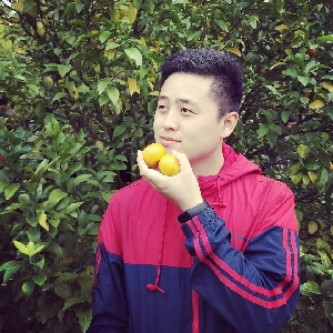 元宇宙第一村村长 