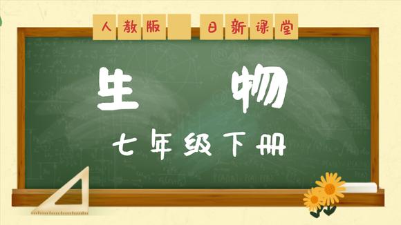 人教版初中生物 七年级下册 细胞的基本结构和功能
