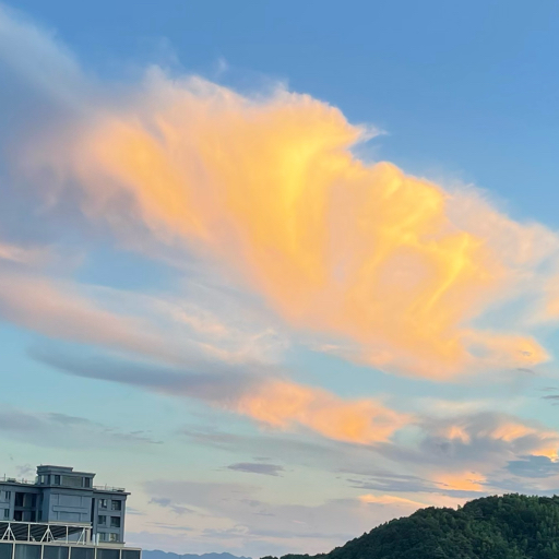 在路上的何老师 