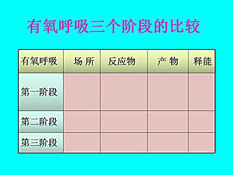 有氧呼吸作用过程微课