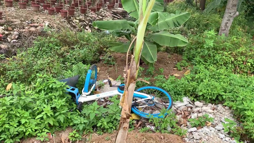 #哈啰出行 #哈啰单车 #粉丝一千万 请不要破坏共享单车