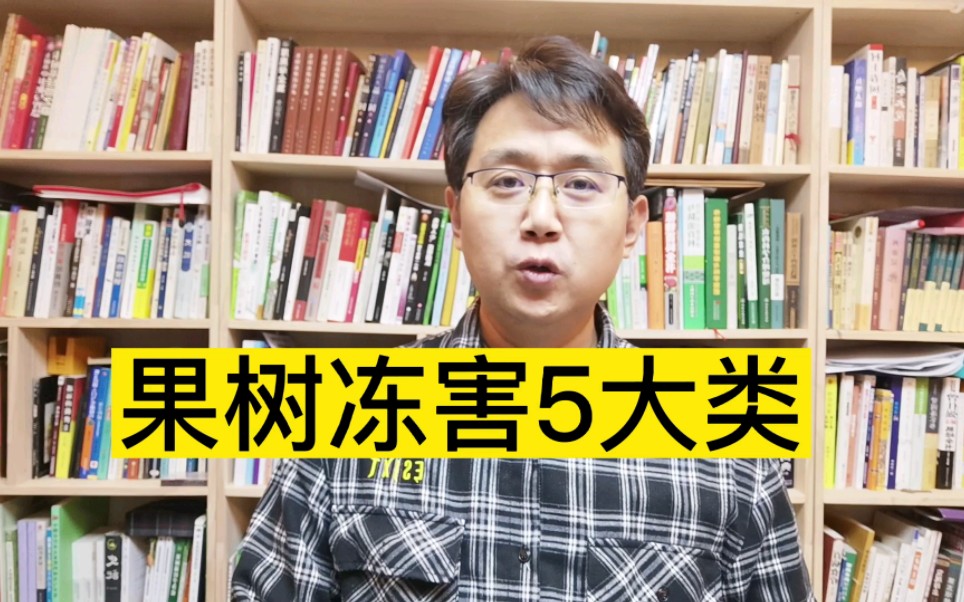 果树不同冻害的不同处理方法!