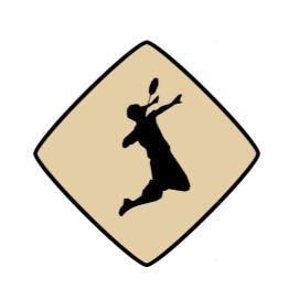 申新教你羽毛球 