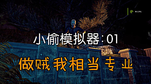 小偷模拟器01:小偷王熬出狱,手把手现场实际教学,什么叫PRO