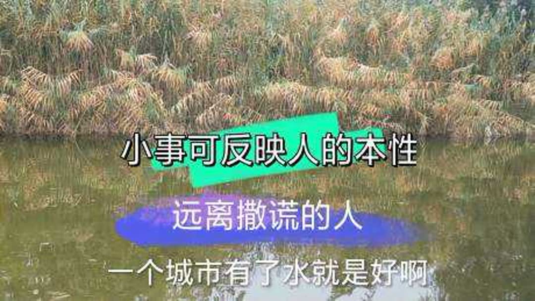 多年的生活经验告诉我,一个人没有诚信。本性就不好要远离