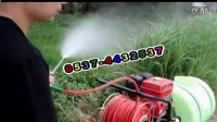 灼灼其华手推式高压喷雾机 消毒喷雾器 菜园打药机