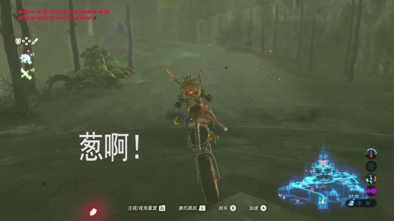 《塞尔达传说旷野之息》时隔两个月手残林克终于想起来去救公主了