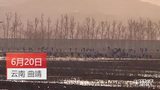 【云南】最新宣传片《诗的远方 梦的故乡》 在美丽的黑颈鹤保护区...