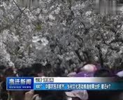 100个“中国农民丰收节”乡村文化活动推选结果出炉 宿迁6个