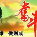 饲料一哥 
