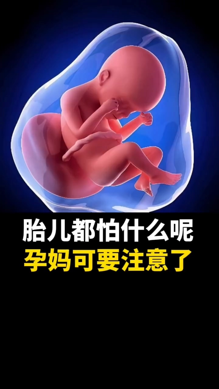 你知道胎儿从受精卵到婴儿