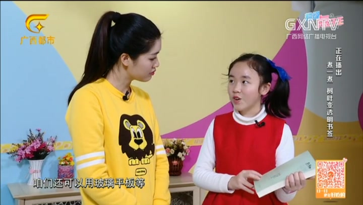 煮一煮 树叶变透明书签