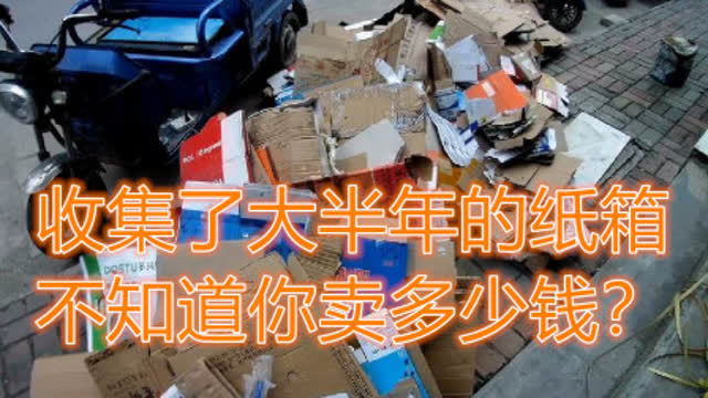 为旅行收集大半年的纸箱,不知道能卖多少钱,希望不会让我失望吧