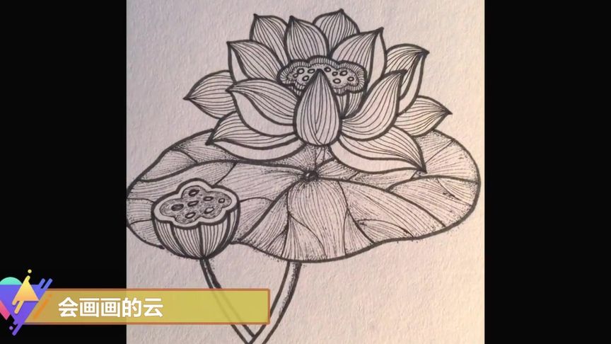 画画很简单,手把手教你怎么画荷花