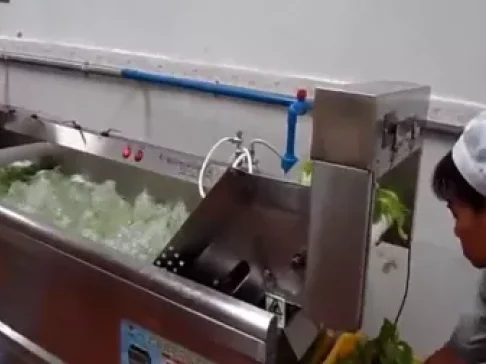 河北净科达 商用消毒洗菜机_ 超声波洗碗机 多功能洗菜机 酒店洗碗机...