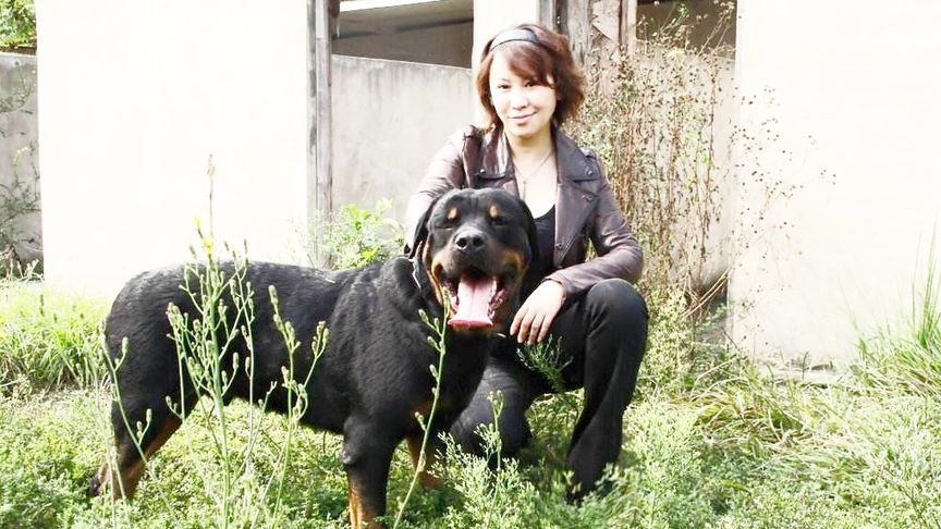 农村老话“会咬人的狗不会叫,会叫的狗不咬人”背后啥道理?