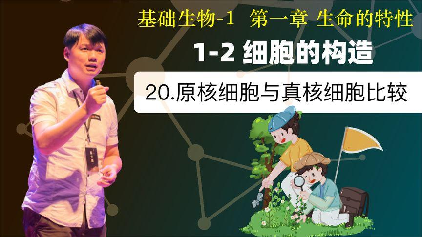 基础生物学 1.2.20 原核细胞与真核细胞比较