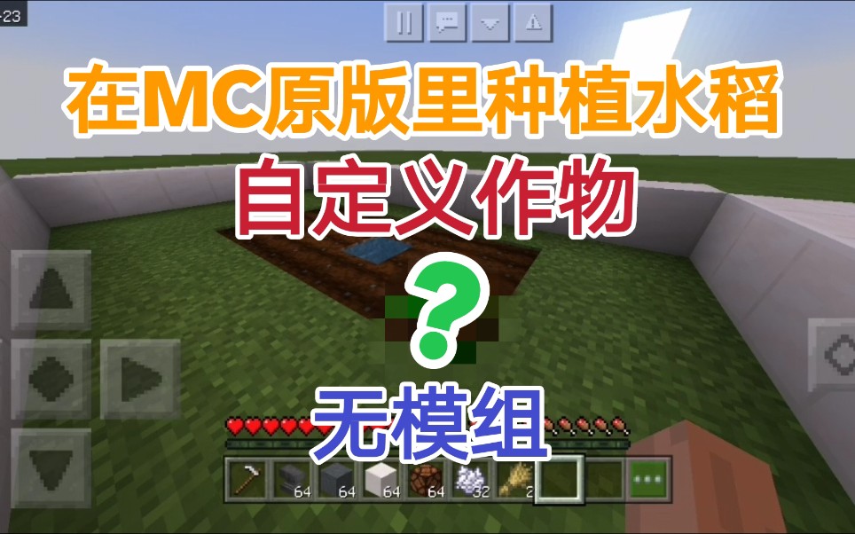 【我的世界基岩版指令】在mc里种水稻? 无模组自定义作物!