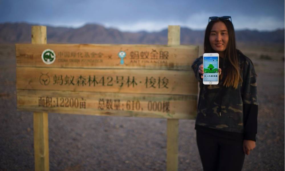 支付宝种植的"蚂蚁森林",现在长成什么样了?还要种植5亿棵
