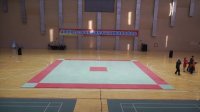 阜师院体院2013年啦啦操课程考试汇演暨迎新年联欢会4