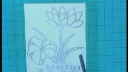 初三《藏书票设计》 陶艳梅 清华附中朝阳学校