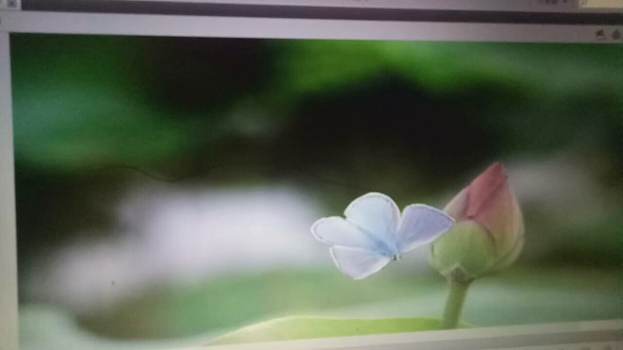 第一次制作的flash,感觉好差劲呀