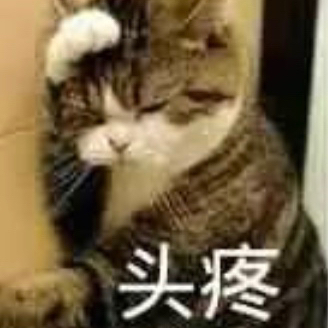 小六十岁去流浪 