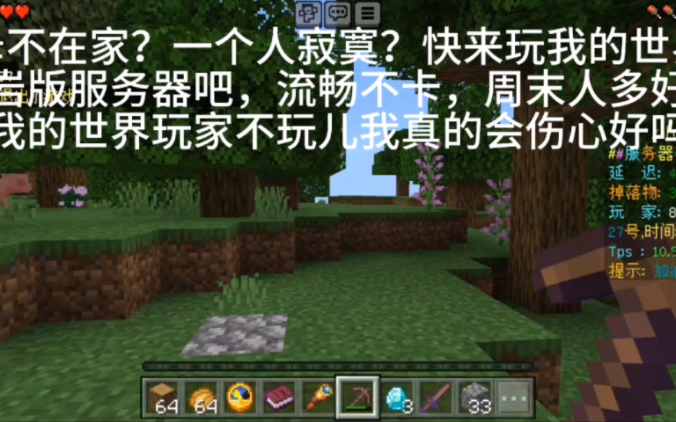 我的世界国际版服务器招人,网易玩家也来看看吧好玩儿爱玩儿,流畅不卡