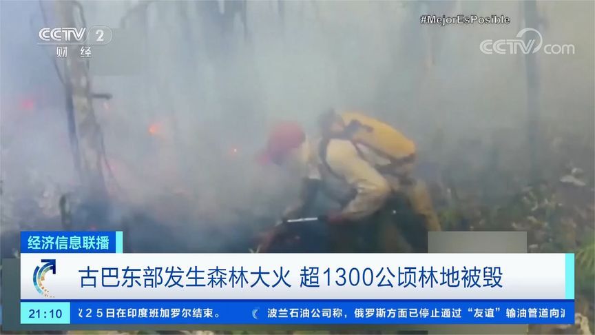 古巴东部发生森林大火 超1300公顷林地被毁