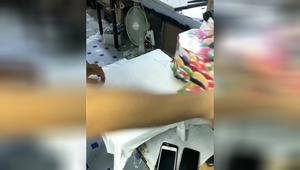 衣服上的照片就是这样印的啊