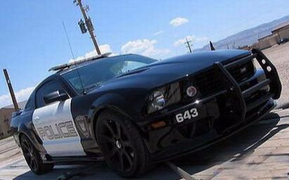 【健哥会玩】测评美驰图 美国警车版福特野马 GT 1;64模型