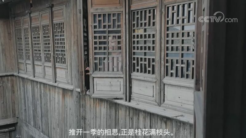 2022新鲜提案 手机大赛获奖作品:古镇黎里,乡愁流淌的江南