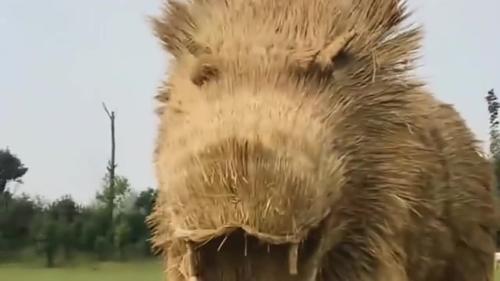 这是什么神仙手法,用稻草也能编织成各种动物,能去申请记录了