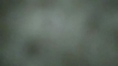 张安娜卡列尼娜的优酷小视频